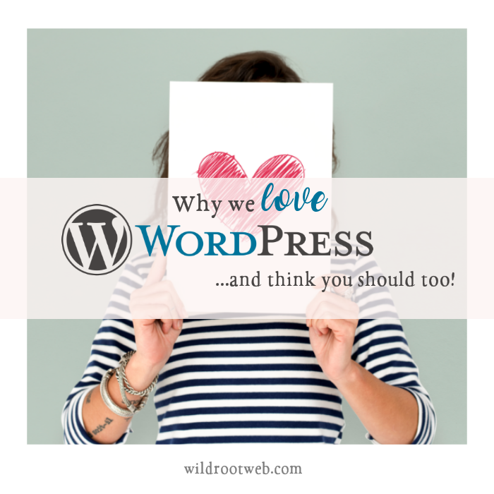 Why We Love WordPress for Small Business Websites and Think You Should ...